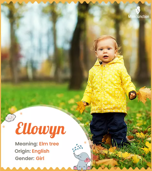 Ellowyn Name Meaning, Origin & History: Complete Guide