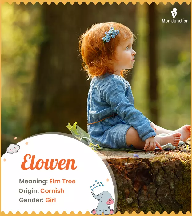 Elowen Name Meaning, Origin, History, And Popularity