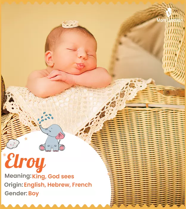 Elroy Name Meaning, Origin, History, And Popularity
