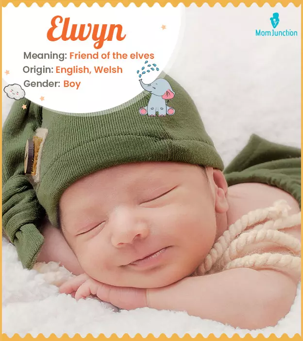 Explore Elwyn Name Meaning, Origin & Variations: What You Need To Know ...