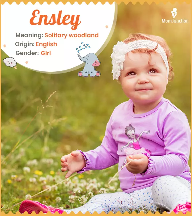 Ensley Meaning, Origin, History, And Popularity