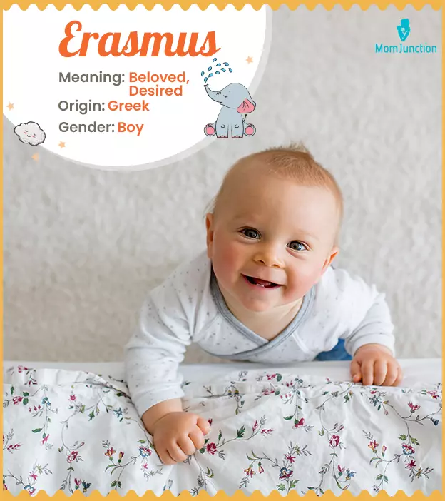 Erasmus Name Meaning And History: Comprehensive Guide For 2025