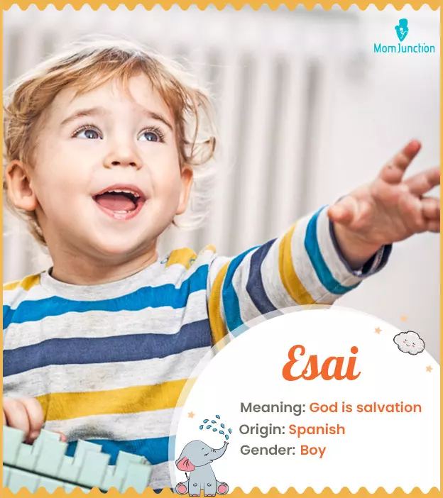 Esai Name Meaning, Origin, History, And Popularity