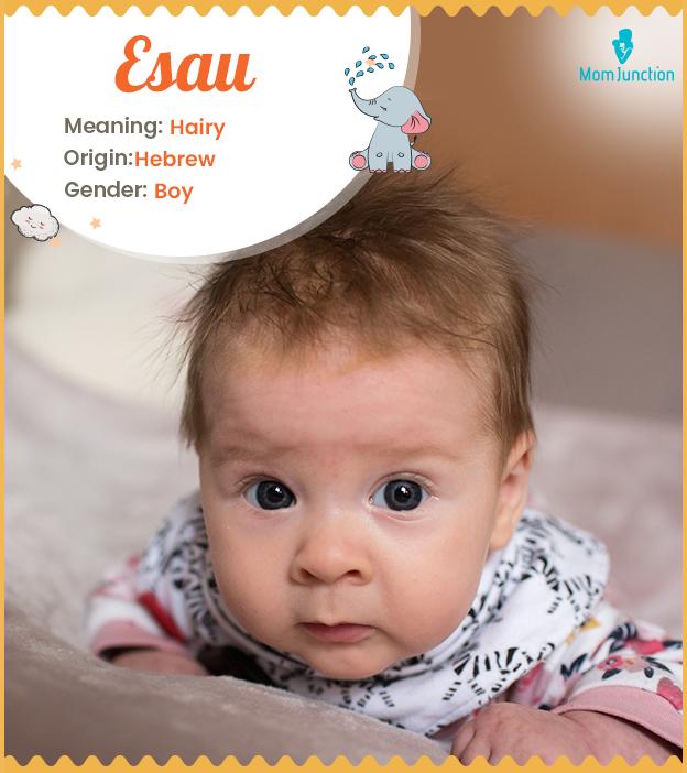 Explore Hetvi: Meaning, Origin & Popularity