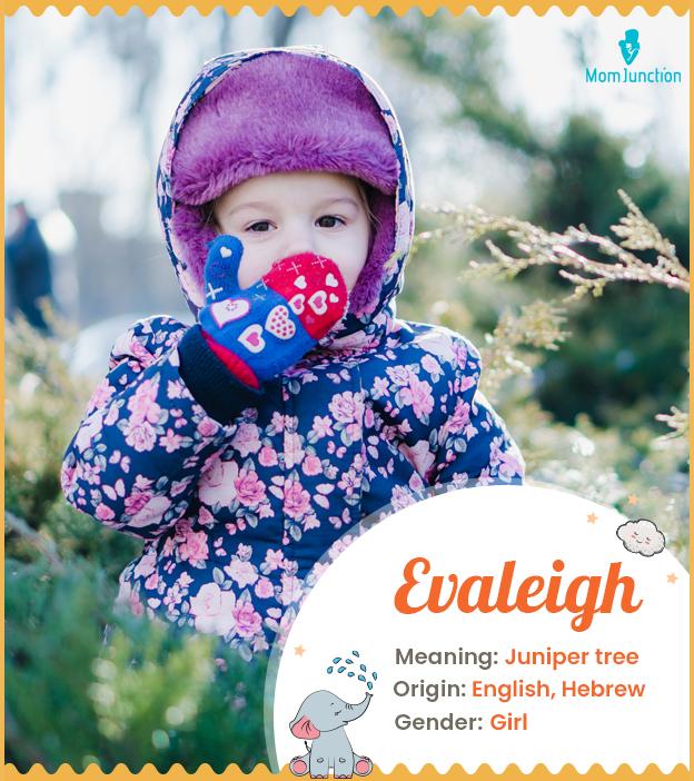 Explore Evaleigh: Meaning, Origin & Popularity