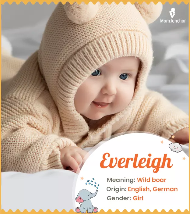 Everleigh Name Meaning, Origin, History, And Popularity