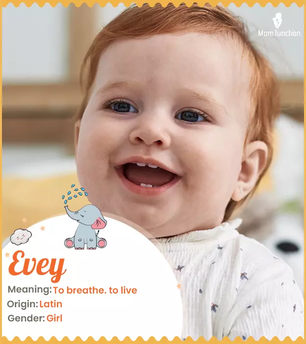 Evey Name Meaning, Origin, History, And Popularity