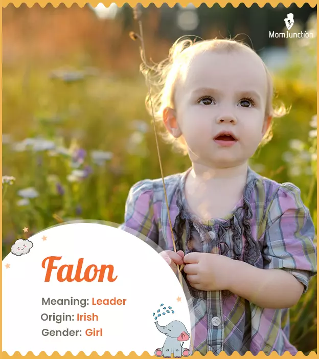 Explore Falon: Meaning, Origin & Popularity