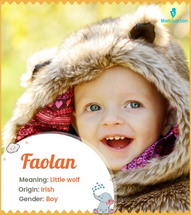 Faolan Name Meaning, Origin, History, And Popularity