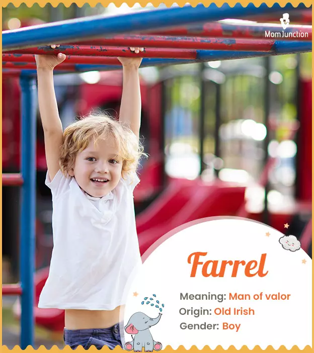 Farrel Meaning, Origin, History, And Popularity