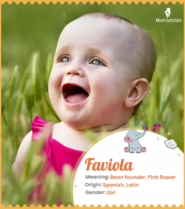 Explore Faviola: Meaning, Origin & Popularity