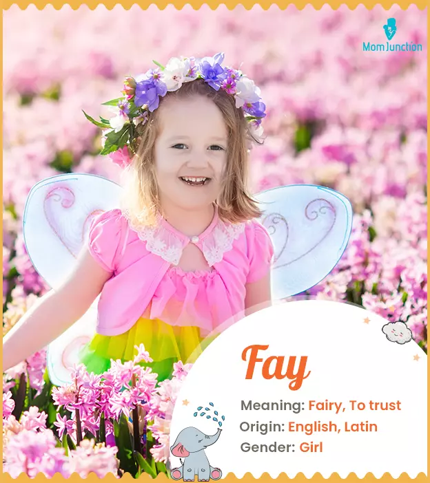Explore Fay: Meaning, Origin & Popularity