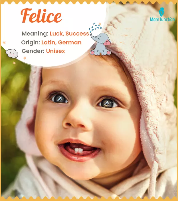 Explore Felice Name Complete Guide: Origin, Meaning & Pronunciation ...