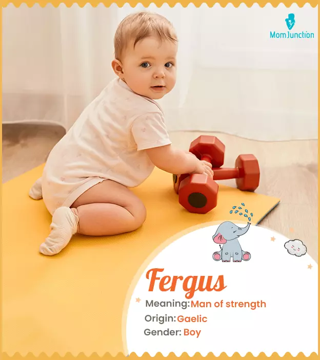 Fergus Name Origin, Meaning & History: Comprehensive 2025 Guide