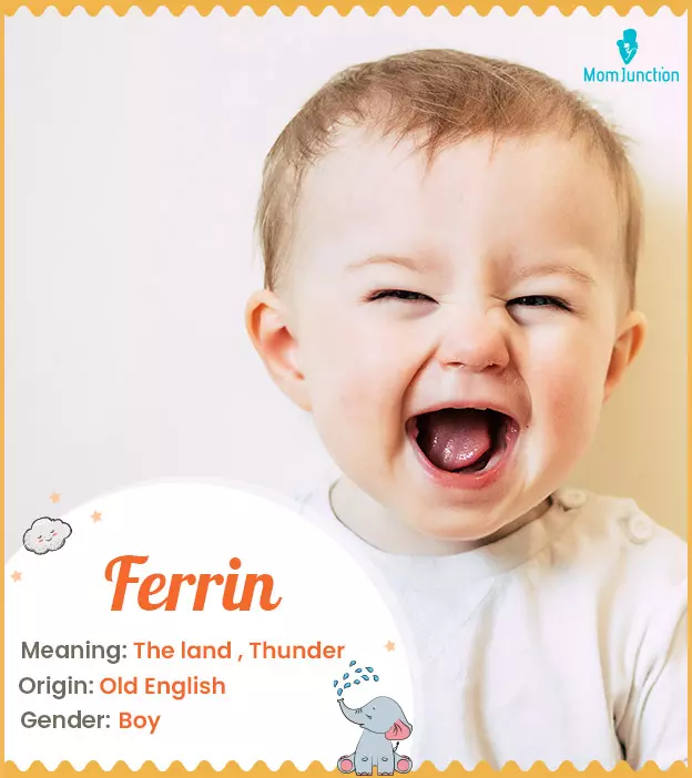 Ferrin Name Meaning, Origin, History, And Popularity