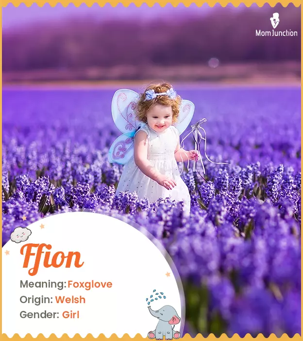 Ffion Name Meaning, Origin, History, And Popularity