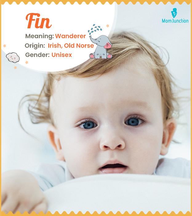 Explore Fin: Meaning, Origin & Popularity