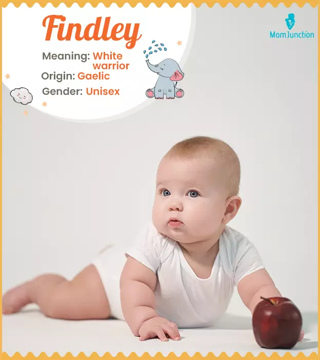 Findley Name Meaning, Origin, History, And Popularity
