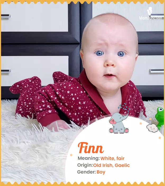 Finn Name Meaning, Origin, History, And Popularity