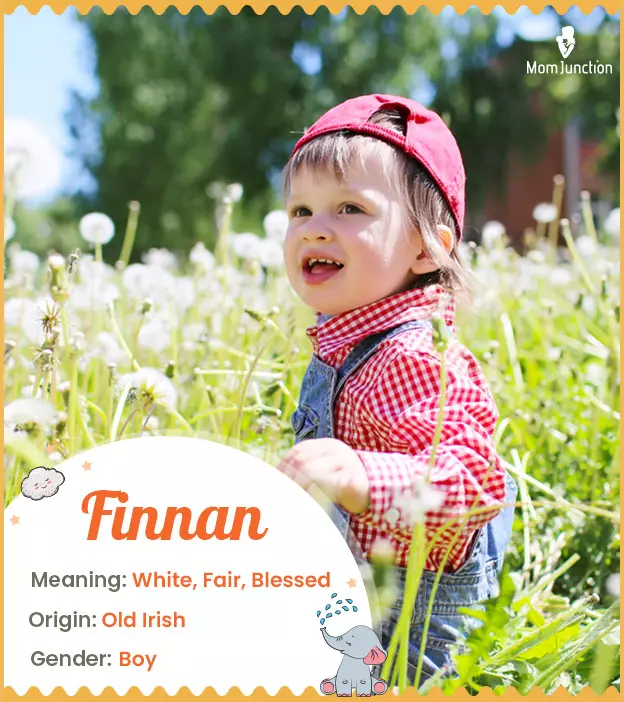 Explore Finnan Name Meaning And Origin: A Complete Guide: Meaning ...