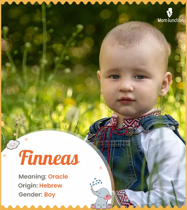 Explore Finneas Name Meaning: Guide To Origin, History & Nicknames ...