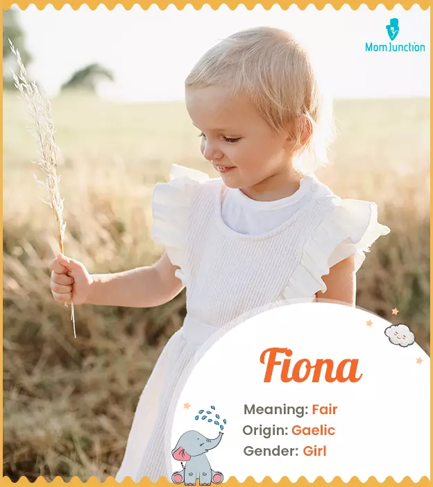 Fiona Name Meaning And Origin: The Complete Guide