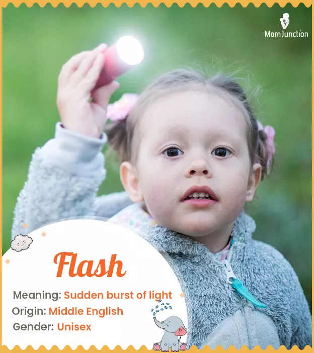 Flash Meaning, Origin, History, And Popularity