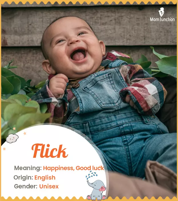 Flick Name Meaning, Origin, And History: A Complete Guide