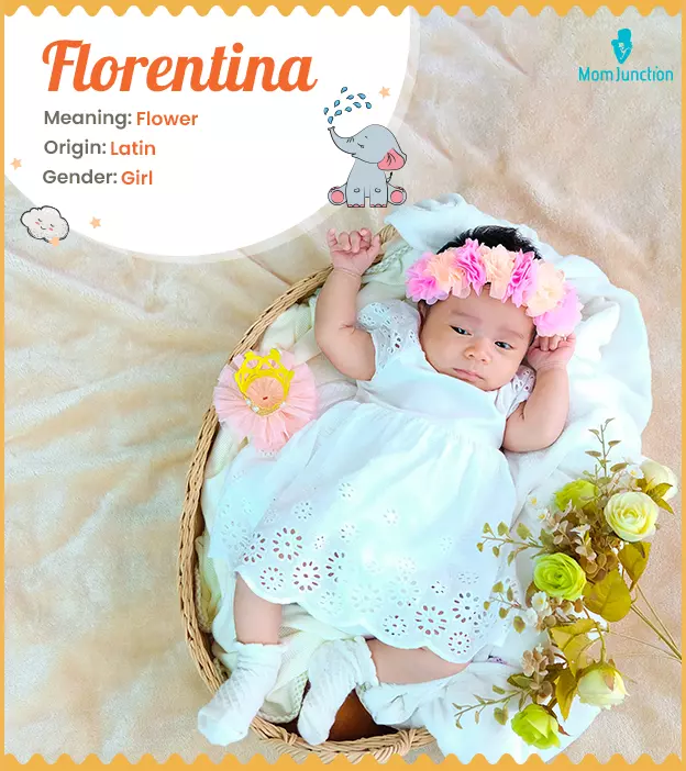Florentina Name Meaning, Origin, History, And Popularity