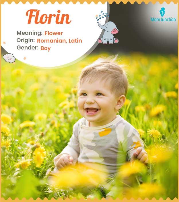 Explore Florin: Meaning, Origin & Popularity