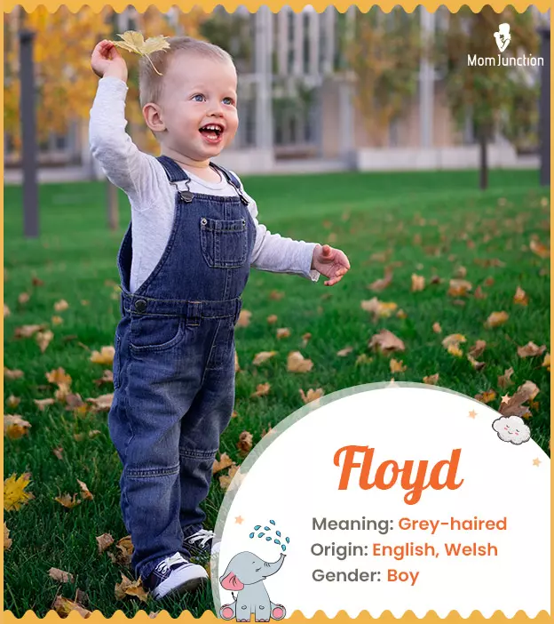 Floyd Name Meaning, Origin, History, And Popularity