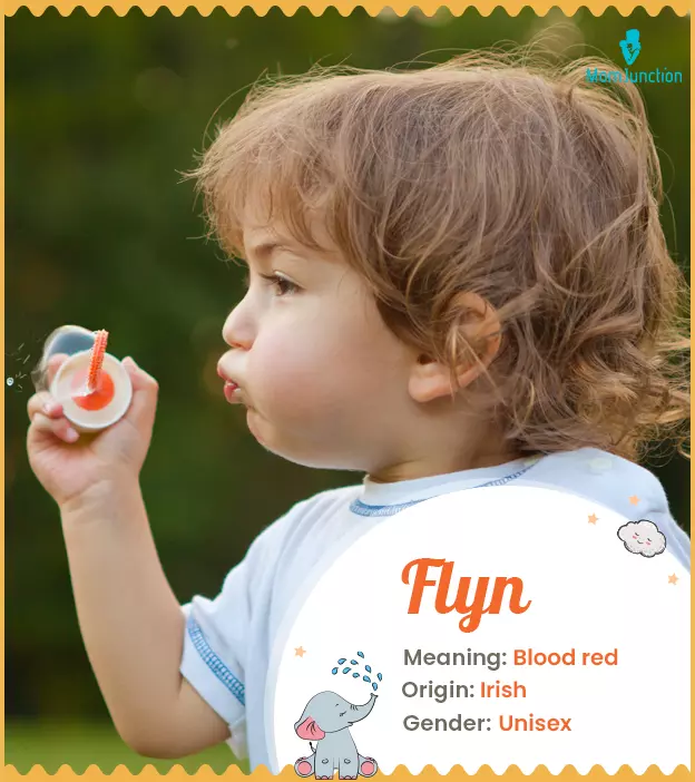 Explore Flyn: Meaning, Origin & Popularity