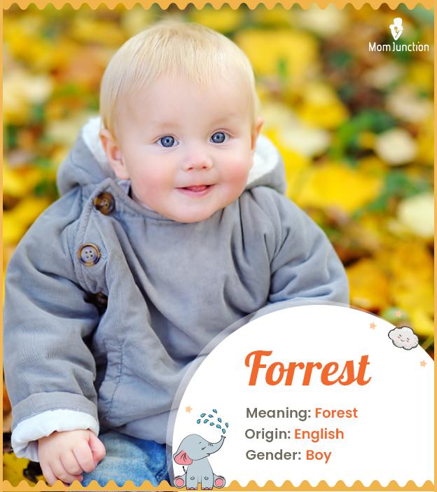 Explore Forrest: Meaning, Origin & Popularity