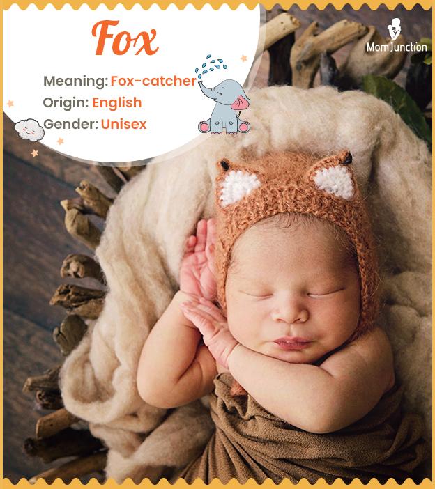 Roni Name Meaning, Origin, History, And Popularity