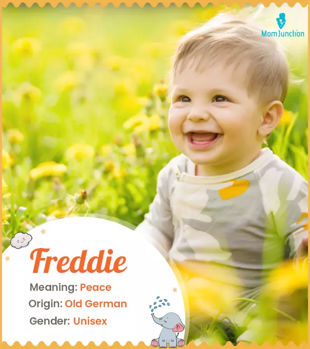 Freddie Name Meaning And History: Everything You Need To Know