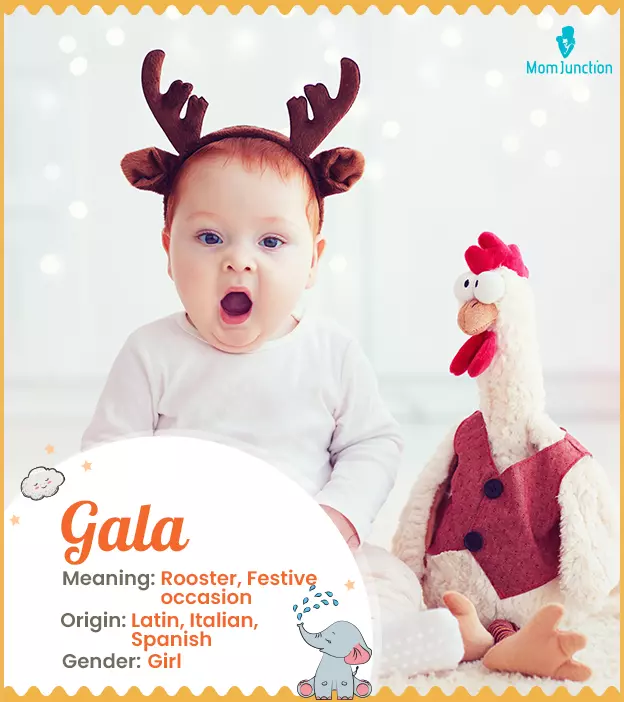 Explore Gala: Meaning, Origin & Popularity