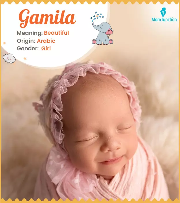 Explore Gamila Name Meaning, Origin, Variants & Complete Guide: Meaning ...