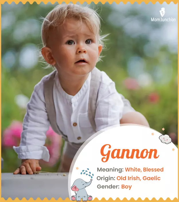 Explore Gannon Name Meaning And Origin: A Comprehensive Guide: Meaning, Origin & Popularity