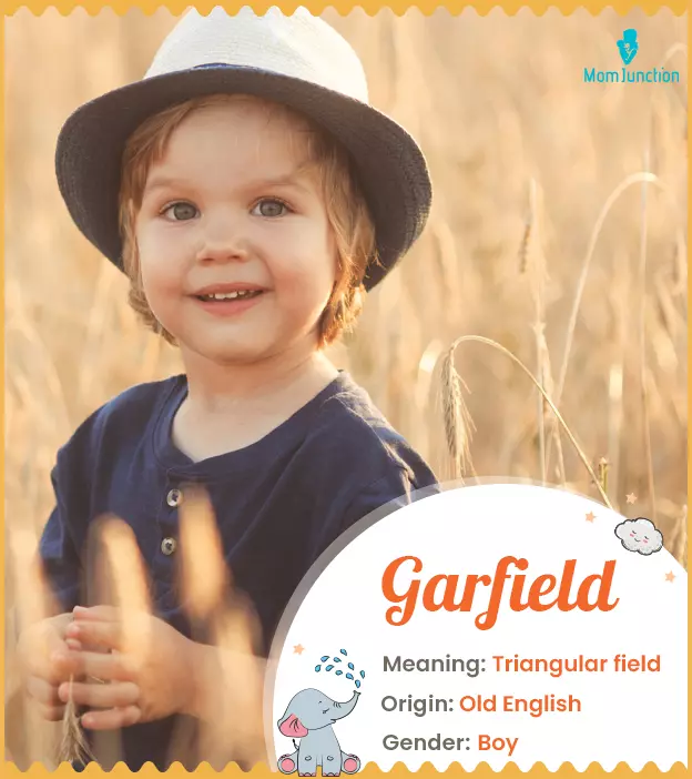 Explore Garfield: Meaning, Origin & Popularity