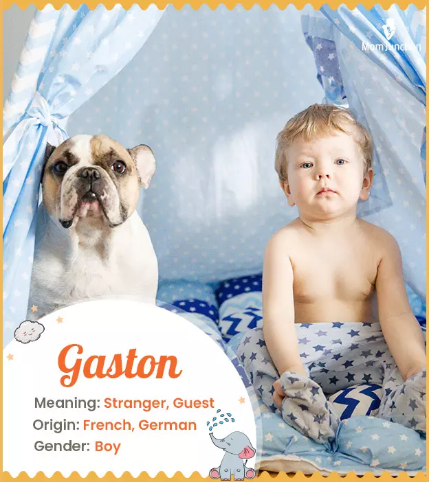 Gaston Name Meaning, Origin, History, And Popularity