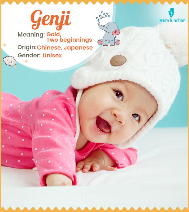 Genji Meaning, Origin, History, And Popularity