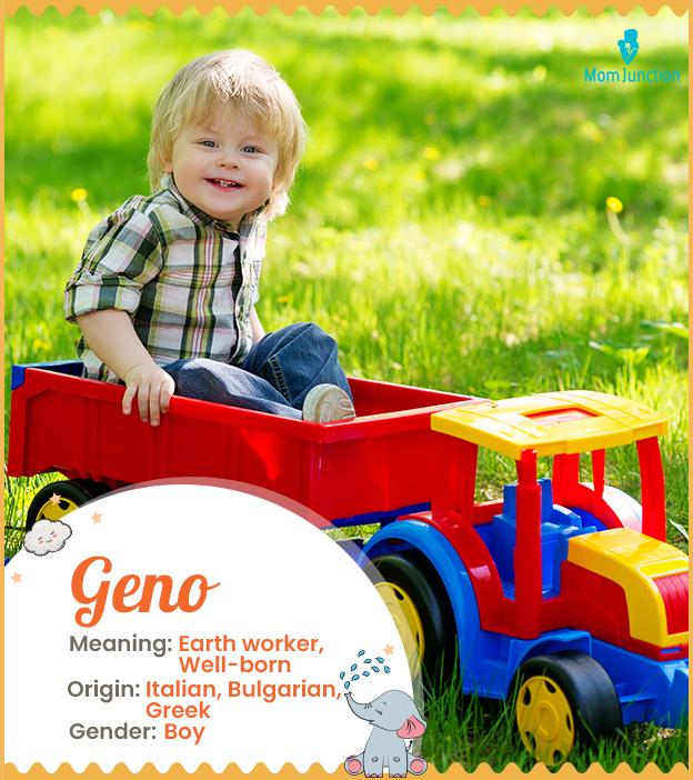 Explore Geno: Meaning, Origin & Popularity