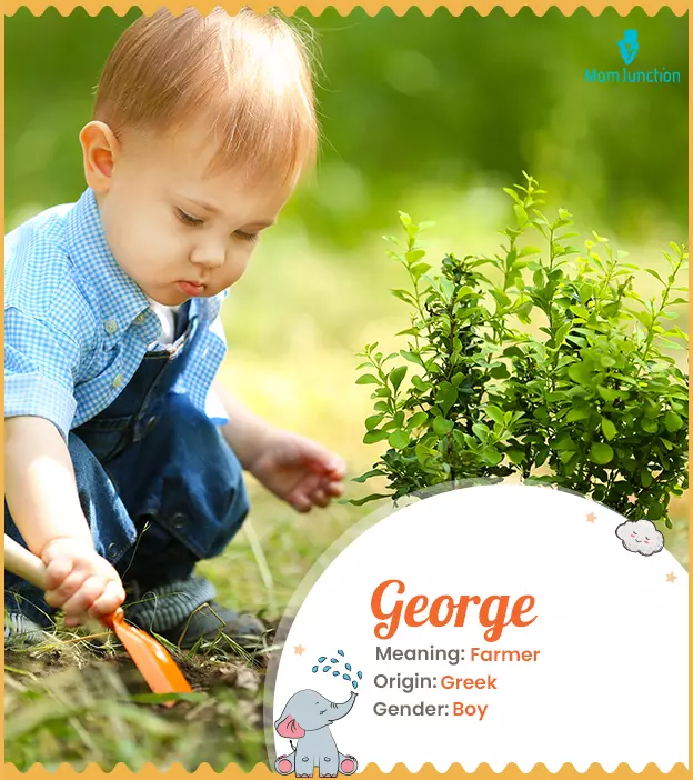 George Name Meaning, Origin, History, And Popularity