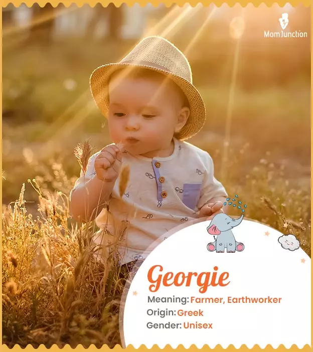 Georgie Name Meaning, Origin & Popularity: Complete Guide