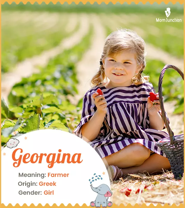 Georgina Name Meaning, Origin, History, And Popularity