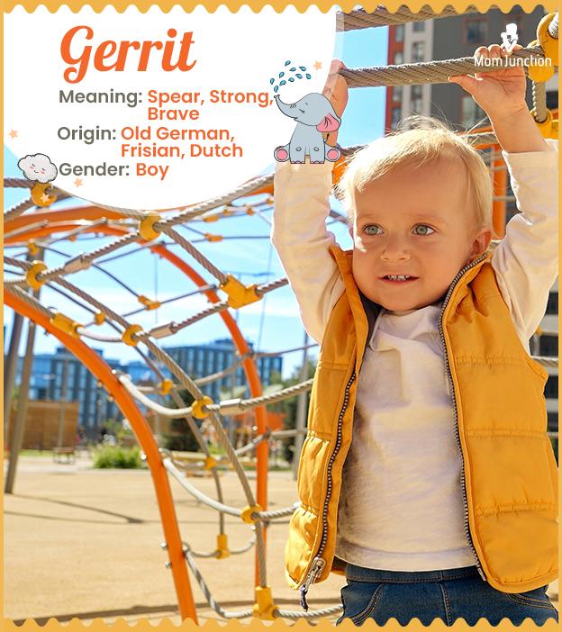 Gerrit Name, Meaning, Origin, History, And Popularity