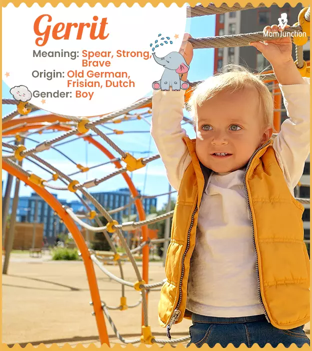 Gerrit Name Meaning & Origin: What You Need To Know