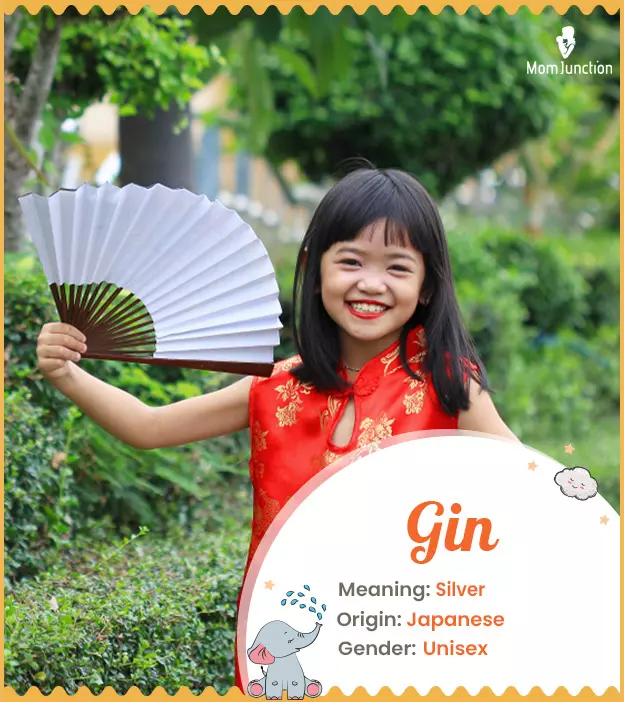 Gin Name Meaning, Origin, History, And Popularity