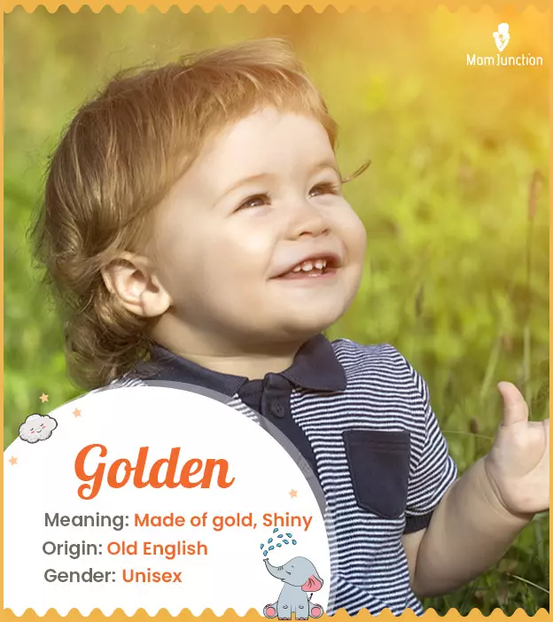 Explore Golden Baby Name Complete Guide: Origin, Meaning & Popularity ...
