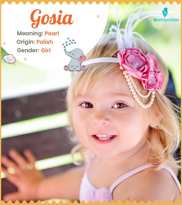 Gosia Name, Meaning, Origin, History, And Popularity